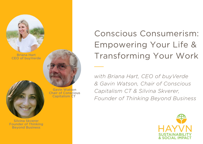 HAYVN | Conscious Consumerism | Webinar HAYVN | Conscious Consumerism | Webinar